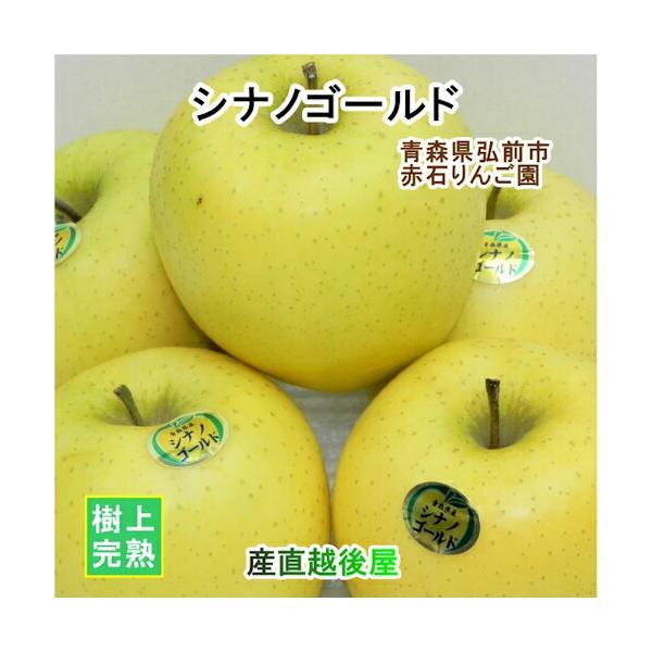 ●見た目よりも味わいと栄養を重視した葉取らず栽培。大正時代から続く赤石農園は食べて感動できるりんごを作り続けています。●完熟すると金色に輝くきれいなりんごです。果汁が多く、糖度も酸味もしっかりあります。●保存性に優れ柔らかくなりにくいので長...