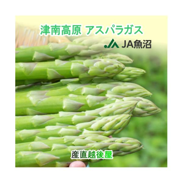 ●JA津南町より直接お届けします。●鮮度を大切にするためクール宅急便でお届けします【同梱不可】。●津南町で栽培した新鮮アスパラガス●最高級ALAサイズのみセレクト。●販売期間は6月20日前後まで。●日本有数の豪雪地津南町で、冷たい雪解け水と...