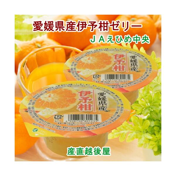 ●JAえひめ中央は、愛媛県中予地区（3市8町1村）12のJAが合併した愛媛県を代表する農協です。●愛媛県は全国有数の柑橘生産地帯である等の基盤を最大限活用し、美味しい柑橘類を愛媛県JAえひめ中央から直接お届けします。●愛媛県産の香り豊かな伊...
