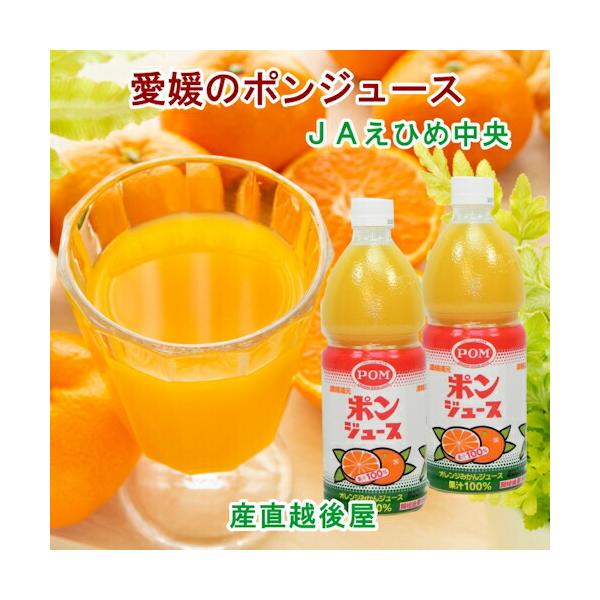 ●JAえひめ中央は、愛媛県中予地区（3市8町1村）12のJAが合併した愛媛県を代表する農協です。●愛媛県は全国有数の柑橘生産地帯である等の基盤を最大限活用し、美味しい柑橘類を愛媛県JAえひめ中央から直接お届けします。●JAえひめ中央管内の果...