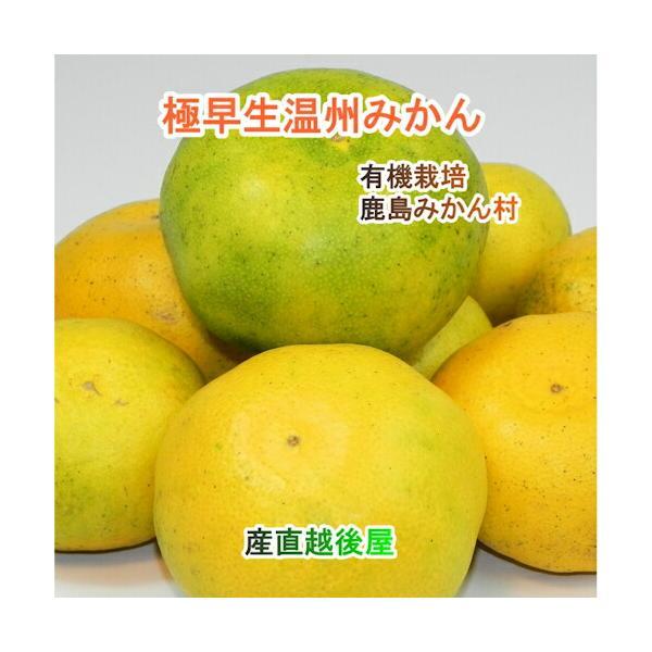 ●見た目の不揃いの訳あり商品になります。●無化学農薬・無化学肥料栽培に取り組み30年。今では、東京ドーム7個分の農場の敷地すべて有機ＪＡS認定を受けるまでになりました。有機温州みかんをはじめ、本当に体に優しい果実だけを自信を持ってお届けして...