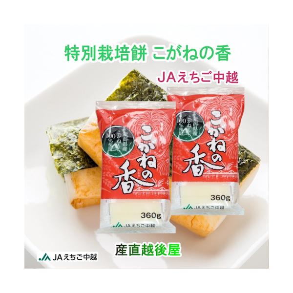 【発売日：2012年11月01日】●メッセージカードが無料で選べます。●新潟県JAえちご中越農協の美味しいお餅です。●緑豊かで寒暖の差が激しい越後平野で丹精込めて栽培された【こがね餅米】を杵つきで美味しくつきました。●大量注文の場合はご相談...