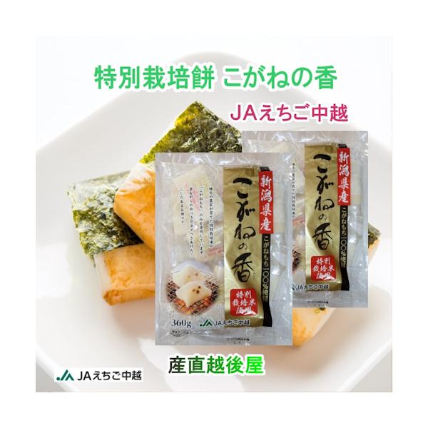 【発売日：2012年10月22日】●お使いやすい１個ずつ包装したシングルパック包装。●新潟県JAえちご中越農協の美味しいお餅です。●緑豊かで寒暖の差が激しい越後平野で丹精込めて栽培された【こがね餅米】を杵つきで美味しくつきました。●種類:単...