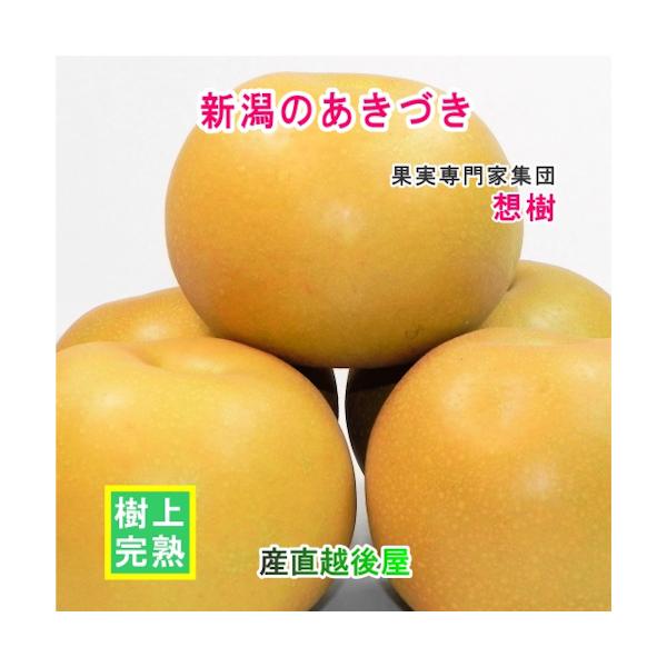【発売日：2020年11月20日】●あきずき梨糖度が高く甘味を強く感じ、シャキシャキした食感が特徴の梨です。●私たち農園は、澄み渡る青空と見渡す限りの越後平野に育まれ。たくさんの川の沿岸（信濃川。五十嵐川、中之口川）にかこまれた土壌条件に恵...