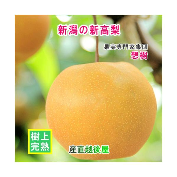 【発売日：2020年11月20日】●新高は芳香たっぷりの新高は多汁で果物は円形の大果となり、そのみずみずしい甘さと爽やかな歯応えは梨の王様です。●私たち農園は、澄み渡る青空と見渡す限りの越後平野に育まれ。たくさんの川の沿岸（信濃川。五十嵐川...