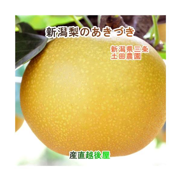 ●土田農園は新潟県三条市で親子３代約90年間新潟県で梨園を営んでいる古くからの梨専業農家で、エコファーマー認定農園です。●土田農園では肥沃な土壌に加え、堆肥・40年間変わらぬ上質な有機質肥料を惜しみなく使う事によって、水分たっぷりであま〜い...
