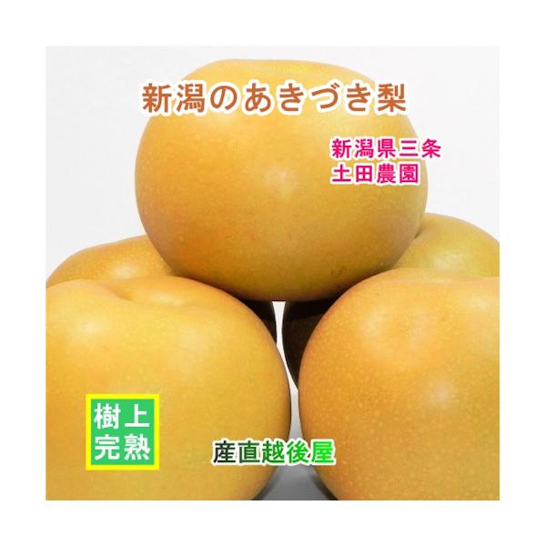 ●土田農園は新潟県三条市で親子３代約90年間新潟県で梨園を営んでいる古くからの梨専業農家で、エコファーマー認定農園です。●土田農園では肥沃な土壌に加え、堆肥・40年間変わらぬ上質な有機質肥料を惜しみなく使う事によって、水分たっぷりであま〜い...