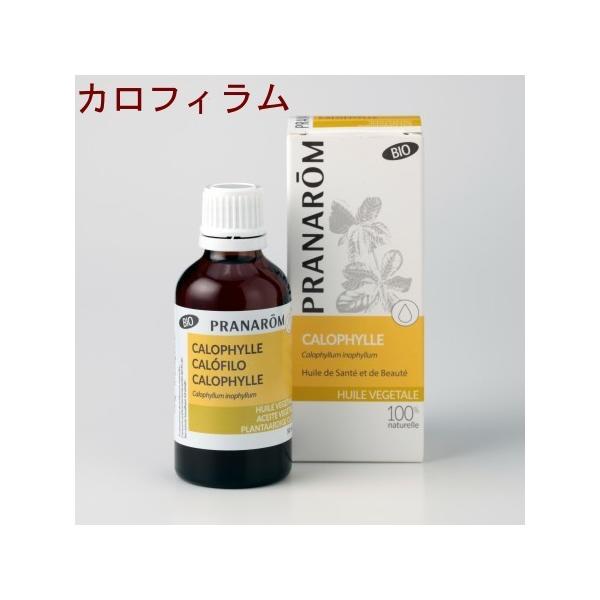 プラナロム カロフィラム油 50ml 12550 カロフィラムオイル キャリアオイル 化粧油 PRANAROM 送料無料プラナロム PRANAROM 植物油 カロフィラム油 【特徴】マダガスカル産の植物油。植物の樹皮や根も民間薬の材料となっ...