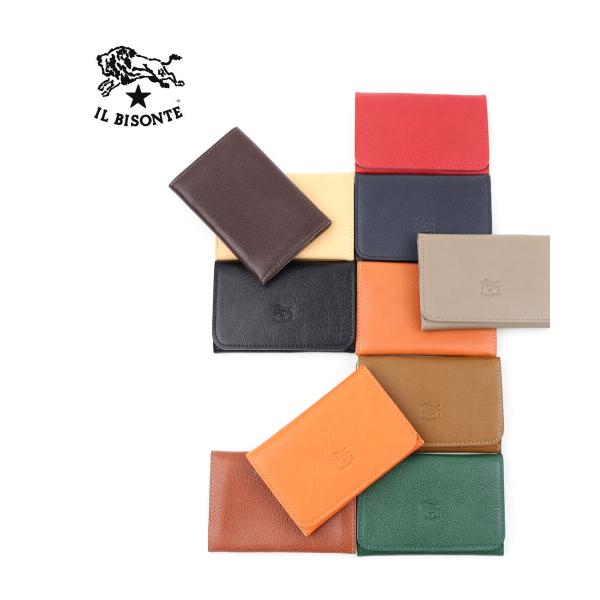 【実寸】F(フリー)(縦8cm×横11cm×マチ約1cm)【素材】皮革部分:牛革【重さ】60g【特徴】薄型ポケット×2【生産国】Italy レザー フラップ付き