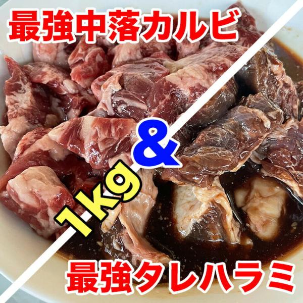 【一括表示】名称(内容量):焼肉セット 1kg(タレ付ハラミ 500g、牛中落ちカルビ 500g)賞味期限:製造より1年間保存方法:冷凍保存してください原材料:【タレ漬け牛ハラミ】牛横隔膜(ハラミ)、果糖ブドウ糖液糖、醤油、食塩、蛋白加水分...