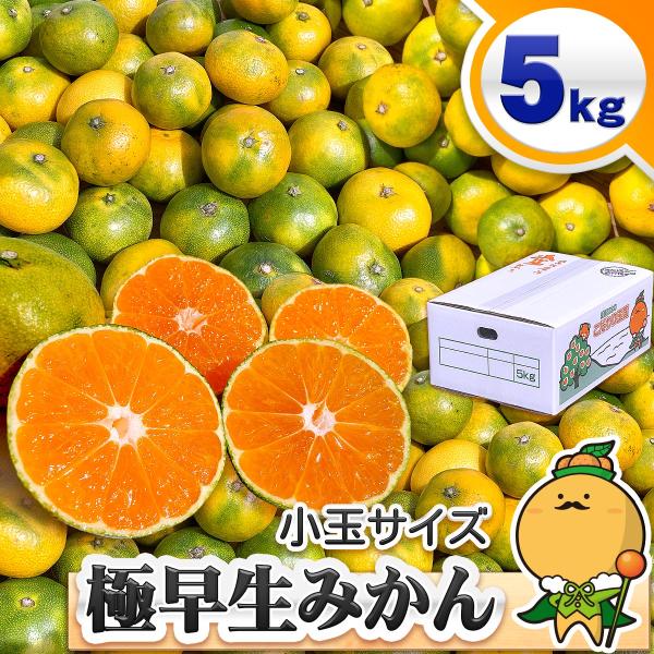 愛媛県産の小玉みかんです。色づきの良いものを選別して発送させていただきます。柑橘シーズンのトップバッターとして、甘酸っぱくて爽やかなみかんをお楽しみください。◆内容量　：5kg◆産　地　：愛媛県 宇和島・西宇和◆発送方法：佐川急便、またはヤ...