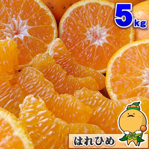 【商品情報】「清見タンゴール」と「オセオラオレンジ」を交配したものに、さらに温州みかんの「宮川早生」を交配した品種です。手で剥いて食べられ、オレンジのような風味が美味しい！◆コンディション　：ご家庭用 ご自宅用 訳あり キズや汚れがあります...