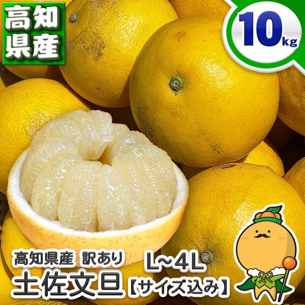 ■ 商 品 名 ■　高知県産 土佐文旦 Ｍ〜４Lサイズ 10kg■ 生 産 地 ■　高知県宿毛市■ サ イ ズ ■　Ｍ〜４Lサイズの混ざり※表記のサイズは収穫した直後の大きさです。　大きさを選別したあとに蔵でしばらく追熟を行うのですが、土佐...