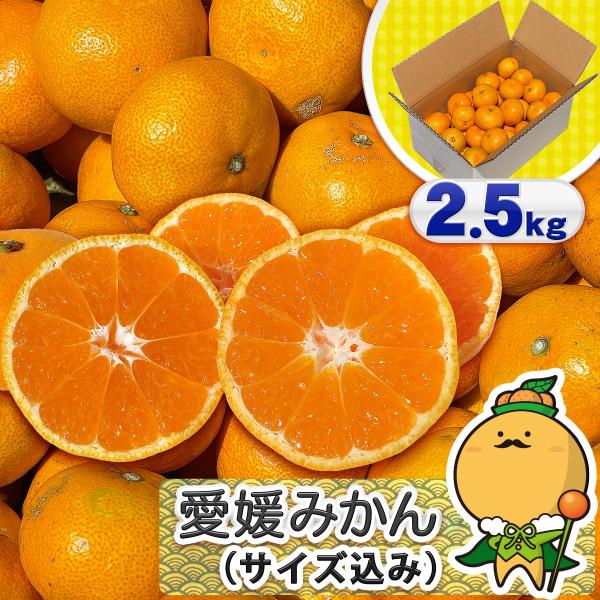 愛媛の甘くて美味しいみかんリアス式海岸に沿った段々畑で潮風と太陽をいっぱいに浴びて育ちました。◆コンディション　：ご家庭用 ご自宅用 キズや汚れがありますので贈り物には向きません。◆品　種　：早生〜20号◆サイズ　：大小サイズ込み（不選別）...