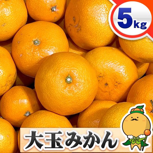 愛媛の甘くて美味しいみかんリアス式海岸に沿った段々畑で潮風と太陽をいっぱいに浴びて育ちました。◆コンディション　：ご家庭用 ご自宅用 訳あり キズや汚れがありますので贈り物には向きません。◆品　種　：早生、南柑20号◆サイズ　：大玉サイズ　...