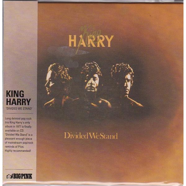 フォーマット: CD / アーティスト: King Harry / タイトル: Divided We Stand / レーベル: BIGPINK / カタログ番号: Bigpink393 / 新品CDです。ニッチ・ポップ名盤!!キング・ハリ...