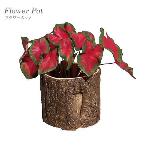 森のナチュラル感を味わえるやさしいフラワーポット♪■サイズ:φ215×H170　（重量：2.5kg）■カラー：※写真をご参照下さい■材質：軽量コンクリート※ポットの底には水抜きの穴が付いています。■送料：送料無料(北海道・沖縄・離島は別途料...