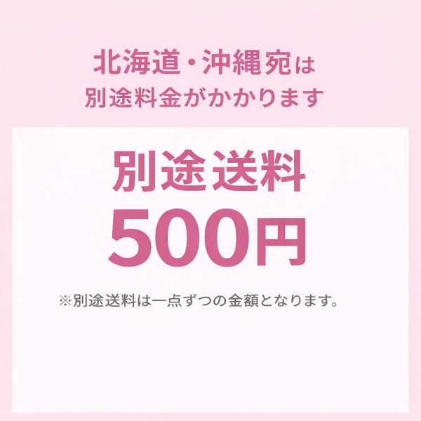 ※本商品だけのご購入はお控えください。弊店にて以下の商品をお買い上げ北海道・沖縄・離島にお住まいのお客様は追加送料が必要となります。・ダンベル・ペットサークル【地域別送料一覧】北海道：500円沖縄県：500円・追加送料をご購入いただいていな...