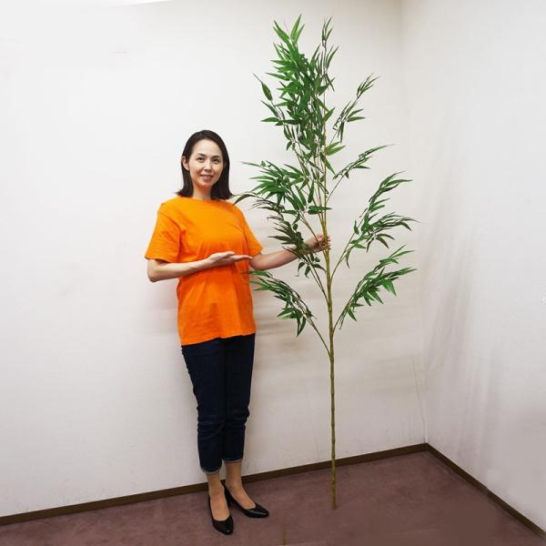 No.7614　本格七夕笹・リアル節(210cm)【内容】 商店街の七夕飾りにおすすめの商品です。 【大きさ】 L210cm、枝径：1.5cm【素材】 ポリエステル、布他【備考】 スタンドは別売りです。