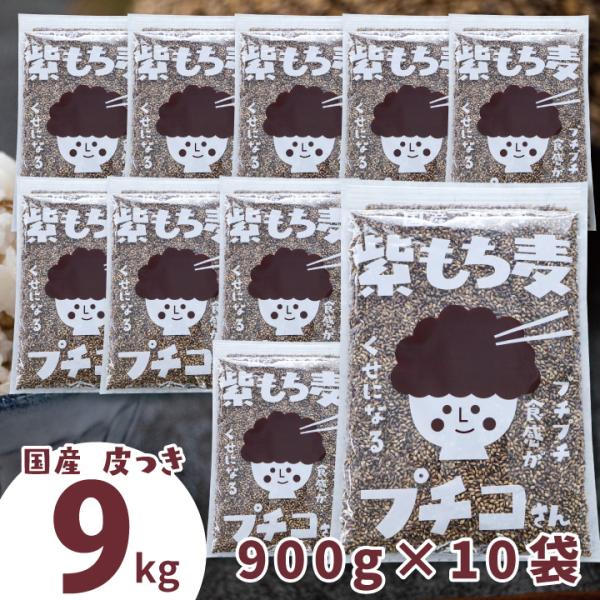 【倉庫自動出荷商品ご注意】ご注文後の「キャンセル・内容変更等」不可。※ご注文後にキャンセルされる場合は商品返送に掛かる送料を実費お客様負担とさせて頂きます。※備考欄記載の要望にもお応え来ません。名称：もち麦商品名：国産皮つきもち麦原材料名：...