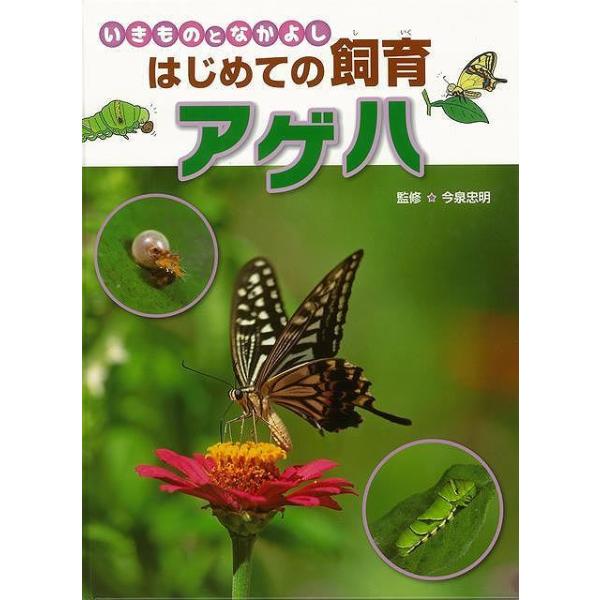 今泉　忠明 　 　金の星社学校や家庭でふれあうことの多い、アゲハの飼育方法を楽しく紹介します。やさしい文章と、豊富な写真・イラストで丁寧に解説。
