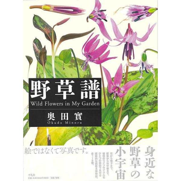 奥田　實 　 　平凡社※画像では帯付であっても,実際の商品は帯付でない場合があります。　裏表紙にバーゲンブックの自由価格シールが貼ってあります。