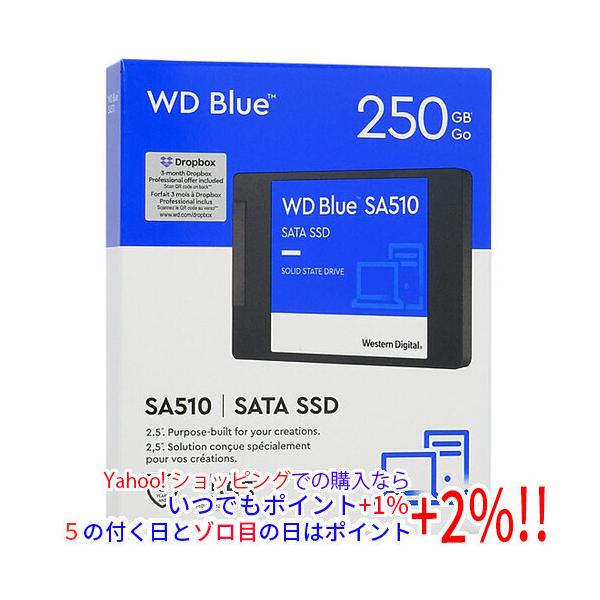 【商品名：】Western Digital製 SSD WD Blue SA510 SATA WDS250G3B0A 250GB　／　【商品状態：】新品　／　【検索用キーワード：】≪即納≫ WD Blue SA510 SATA WDS250G...