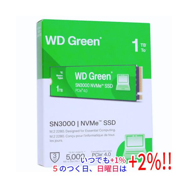 【商品名：】Western Digital製 SSD WD Green SN3000 NVMe SSD WDS100T4G0E 1TB　／　【商品状態：】新品　／　【検索用キーワード：】≪即納≫ WD Green SN3000 NVMe S...