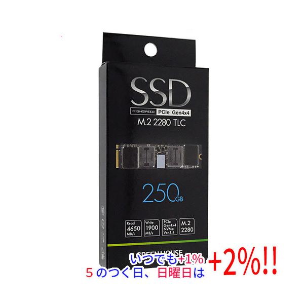 【商品名：】グリーンハウス SSD M.2 Type 2280 GH-SSDRMPB250 250GB　／　【商品状態：】新品　／　【検索用キーワード：】 GH-SSDRMPB250　／　【型番：】 GH-SSDRMPB250　／　【商品説...