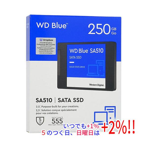 【商品名：】Western Digital SSD WD Blue SA510 SATA WDS250G3B0A-EC 250GB　／　【商品状態：】新品の商品です。　／　【検索用キーワード：】≪即納≫ WDS250G3B0A-EC　／　【...