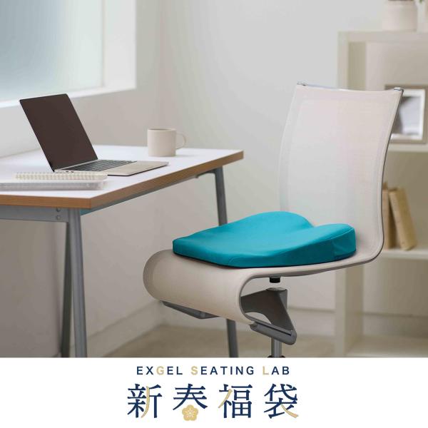 ※当社営業日：月〜金曜日(祝祭日除く)　ページ左側の当社営業日カレンダーをご確認ください※銀行振込、コンビニ決済の場合はご入金確認後の出荷となります※在庫切れの場合は入荷後出荷いたしますエクスジェルシーティングラボ Yahoo!店は安心のメ...