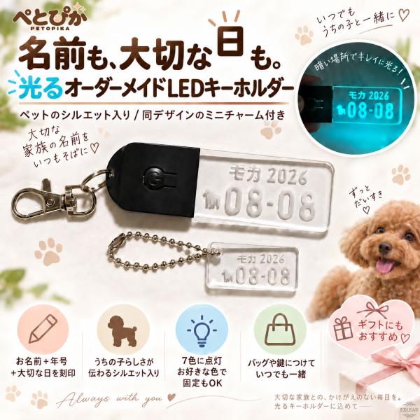 愛犬のお名前や記念日を刻印できる、ナンバープレート風の光るLEDキーホルダーです。お名前・お好きな文字、年・数字、日付・番号を組み合わせて刻印できます。犬種を中心に、ハート・ボーン・肉球を含む全73種類のシルエットから選択可能。LEDは7色...