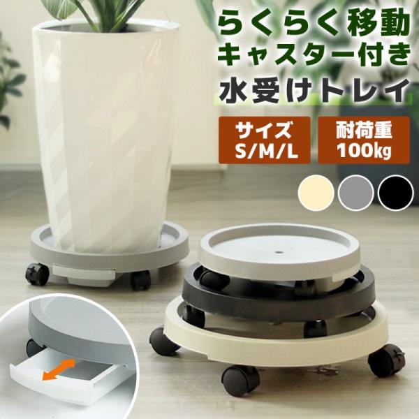 床を汚さず移動も簡単！水受けキャスター付きトレイです。 【360度回転キャスター】固定レバーを下ろせばロックできます。重い鉢を乗せても動きません。 【簡単水受けトレイ】鉢は根腐れしにくくスッキリ排水！水受けトレイはスライドして取り外せます！...