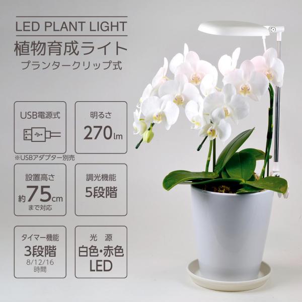 □商品仕様●電源：出力…5V2A以上のUSBポート●消費電力：7.5W●全光束：270ルーメン●照度：約32000 ルクス（直下2.5cm）、約18000ルクス（直下5cm）、約8600ルクス（直下10cm）、約2400ルクス（直下20cm...
