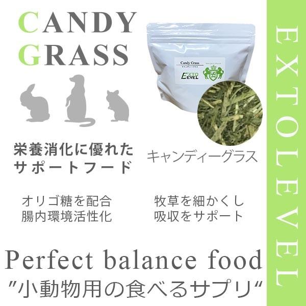 ウサギやモルモット等の小動物向けの食べるサプリCandy Grass腸内環境と免疫機能を整える。オリゴ糖配合の栄養消化に優れたサポートフード。