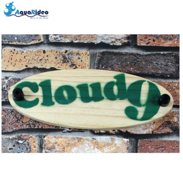 アクア リデオ 代引き不可 ボードハンガー for Snow グリーン 8kgまで 簡単ホチキス留 スノーボード壁掛け 壁美人 ウォールシェルフ 雑貨 AquaRideoホチキスで石膏ボードにとめる 8kgまで対応