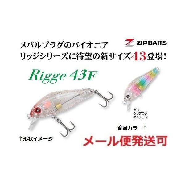 メーカー：ジップベイツ商品名：リッジ ４３Ｆメバルでご好評のリッジ35シリーズに、より飛距離アップした43がFとSSで新登場です。アミパターンに代表されるメバルのトップウォーターゲーム対応。ただ巻きでは、ファットなフォルムから繰り出されるウ...