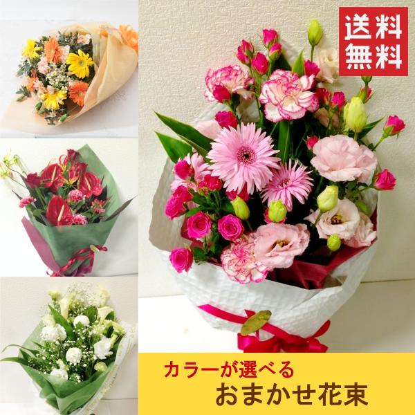 送料無料！カラーが選べるおまかせ花束！メッセージカード無料です。【形体】花束【目安のサイズ】高さ約40〜50cm×幅約30〜40cm【主な花材】お花はスタッフのおまかせ（写真はイメージとしてご覧ください。）【ご用途】誕生日 お祝い 記念日 ...