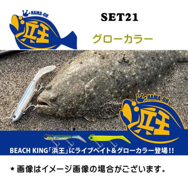 ■21g■1個入飛行姿勢と泳ぎを重視した専用ヘッドに専用ワームとのコンビネーションは、まさにBEAC KING！激戦区のポイントでぜひ投入して欲しい自信作です。ヘッドのグリグリアクション（ローリング）とテールのブリブリアクション（ウォブリン...