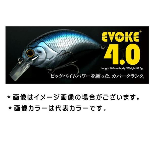 カバー回避力、直進性能に長けたEVOKEシリーズの基本性能をそのままに、大幅ボリュームアップされたマグナムクランク『イヴォーク4.0』。ノーマルサイズのクランクベイトでは見向きもしないハイプレッシャーコンディションにおいても、マグナムサイズ...