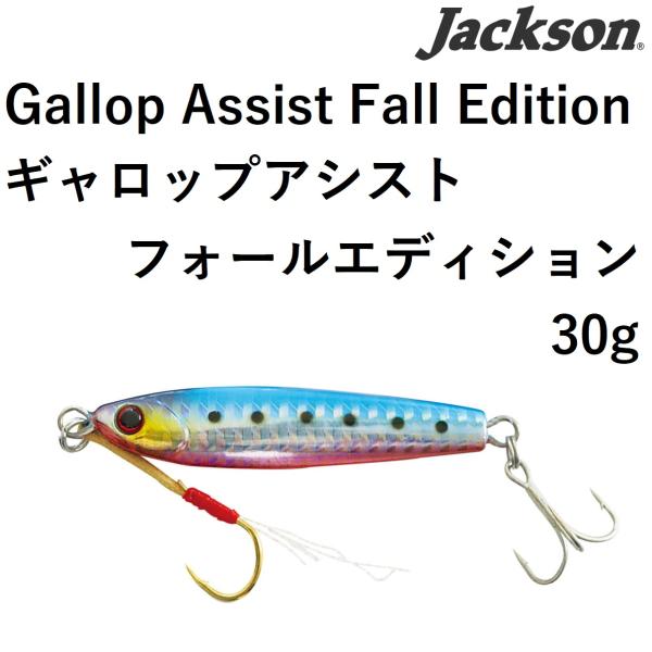 メーカー ： ジャクソン JACKSON商品名 ： ギャロップアシストフォールエディション 30g Gallop Assist Fall Edition主な用途：ジギング、ライトジギング種類 ： メタルジグウエイト　：30gシャープなエッジ...