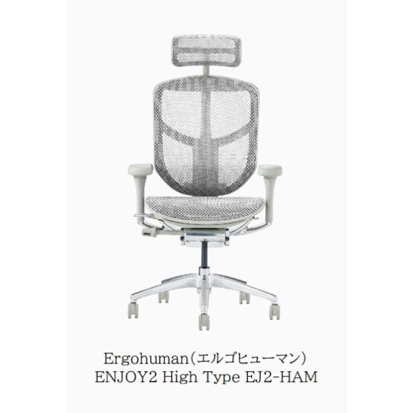 オフィスチェア新型Ergohuman（エルゴヒューマン）ENJOY2（エンジョイ2）EJ2-HAM HighType（ハイタイプ）フレーム：2色対応（BK/GY）メッシュ：5色対応（BK/WH/RD/BL/GN）組立配送無料北海道・沖縄・離...