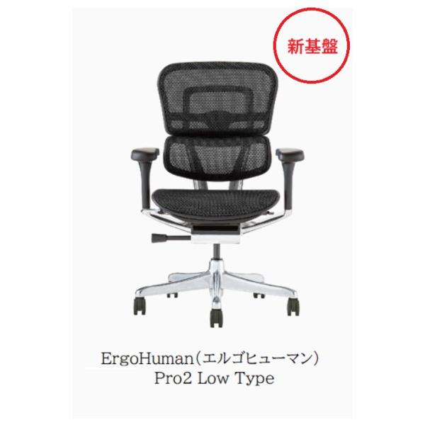 オフィスチェア 新基盤仕様新型Ergohuman（エルゴヒューマン）PRO2 DR（プロ2DR）EHP2-LAM-DR LowType（ロータイプ）フレーム：2色対応（BK/GY）メッシュ：5色対応（BK/WH/RD/BL/GN）組立配送無...