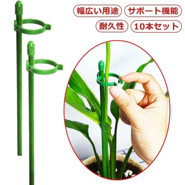 草花の広がり 雨風で草花が倒れるのを防ぐ専用のささえ 花 ガーデニング 観葉植物 75cm 60cm 30cm 10本セット 支柱 45cm ささえ