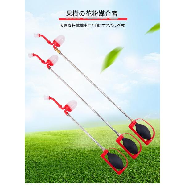 商品名： 手動エアバッグ式 果樹用ポリネーター（調節・伸縮可能）  特徴： ? 手動エアバッグ式で簡単操作！ ? 伸縮・角度調節可能なノズルで、高所や狭い場所もカバー。 ? 効率的な人工授粉で収穫量アップをサポート。 ? 軽量設計で長時間作...