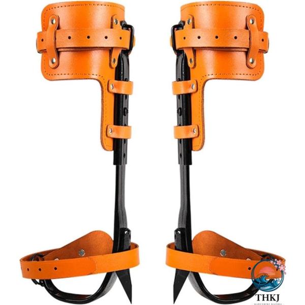 【商品】木登り器。ステンレス鋼構造: ツリー クライミング ネイルは高強度のステンレス鋼でできており、防錆、耐摩耗性があり、220 ポンドに耐えることができ、屋外での長期使用に適しています。その上、爪は鋭く硬いので、木登りを安全かつ効率的に...