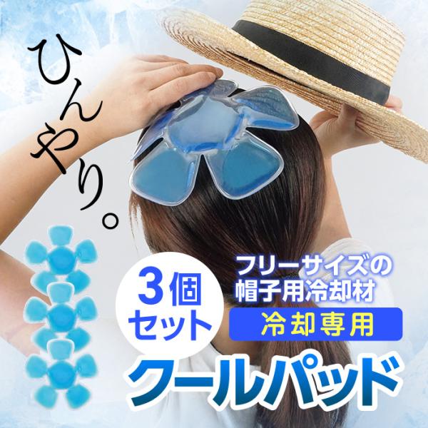 [カクセー]クールパッド PN-01フリーサイズの帽子用保冷剤。小さなこどもから大人まで。冷却専用。水洗いOK。繰り返し使える。内容量：1個×3商品サイズ：本体 180×170×5mmパッケージ 195×210×10mm重量：95g材質：本...