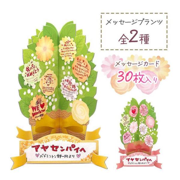 [アルタ]メッセージプランツグリーンが入ったカゴにお花型のメッセージを貼り付けて、想いを込めたフラワーアレンジを作ろう！この花と皆からの想いは、枯れることなくいつまでも咲き続けます。内容量・グリーン；2枚1組・花カード；30枚・プレート；1...