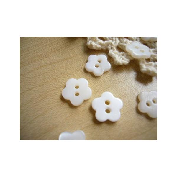 サイズ：約15mm。※入荷時期やロットにより多少異なる場合があります。5個セット。※自然な貝をそのまま活かしていますので、厚みや形などそれぞれに多少異なります。あらかじめご了承の上、ご注文をお願いいたします。      メール便配送の場合、...