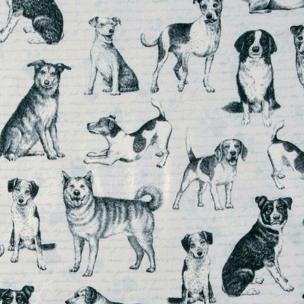 ペン画の犬たち。色々な種類の犬たちをシンプルなペン画で描いています。表情が可愛いです。地模様に英文が書かれています。6枚目の画像でご確認ください。グレーEVIE-C6280 GREY &amp;copy; Evie Art &amp;amp...